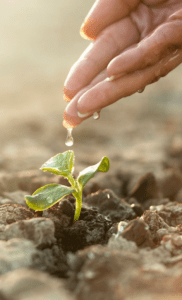 Dr. Emer MacSweeney - Recognition Health UK