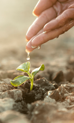 Dr. Emer MacSweeney - Recognition Health UK